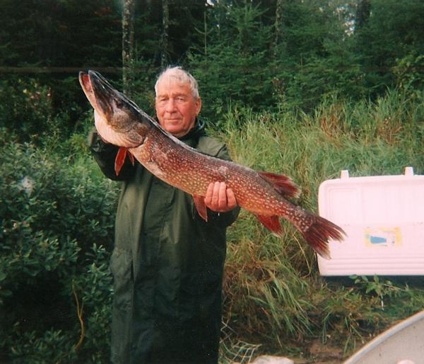 Page 2/2 - Northern Pike Photo Gallery - 7 Lakes Wilderness Camps